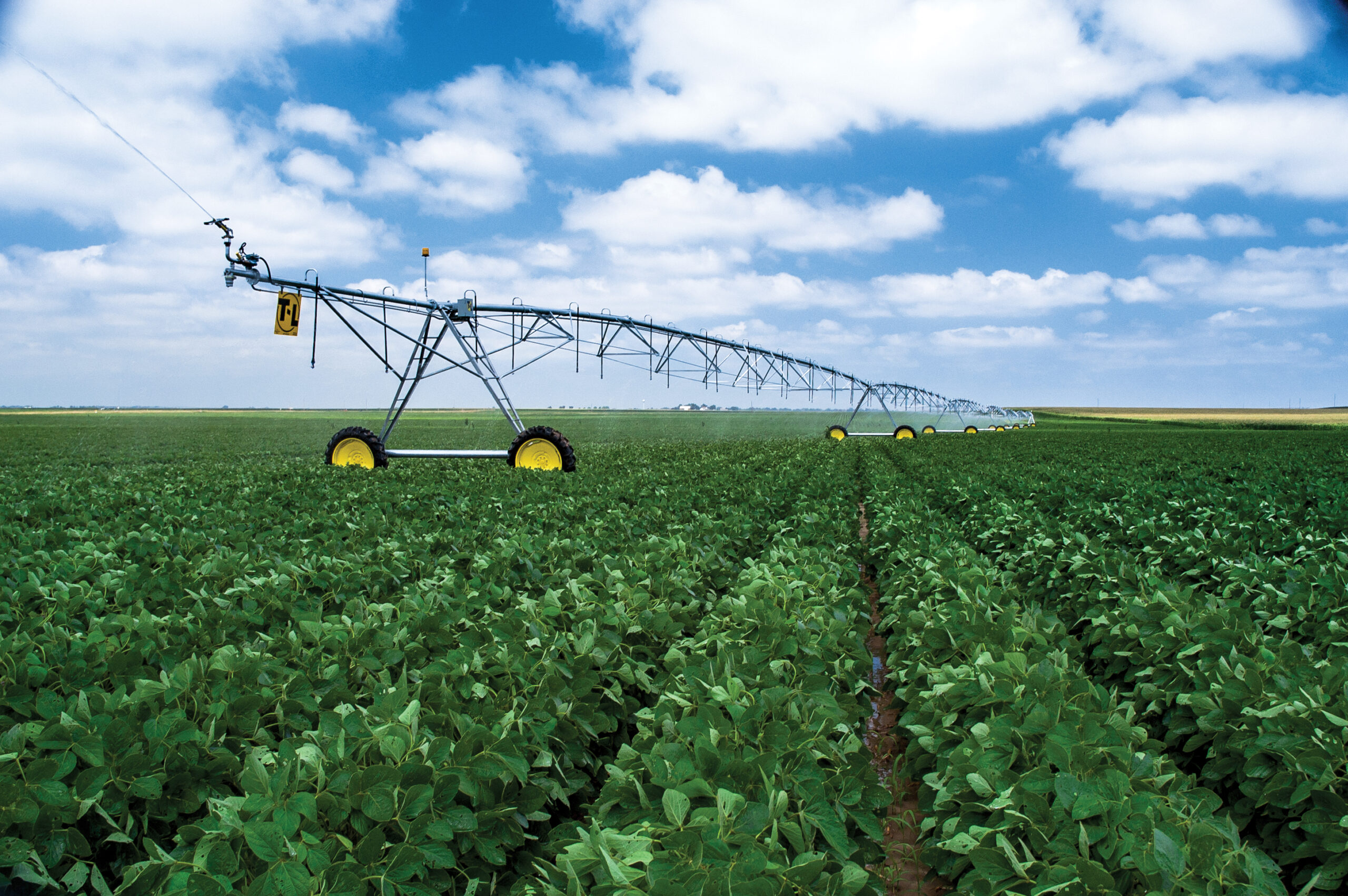 El Club del Riego debuta en la Expo – Casares Online