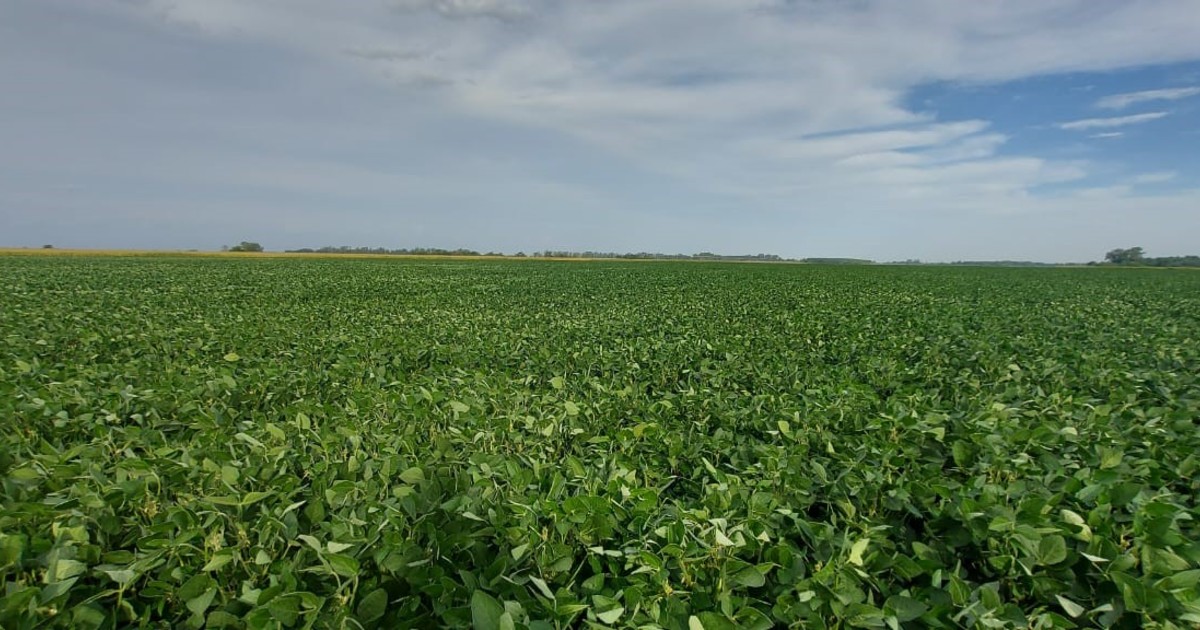 El Grupo GR empieza a realizar certificaciones orgánicas y ya impulsa ...